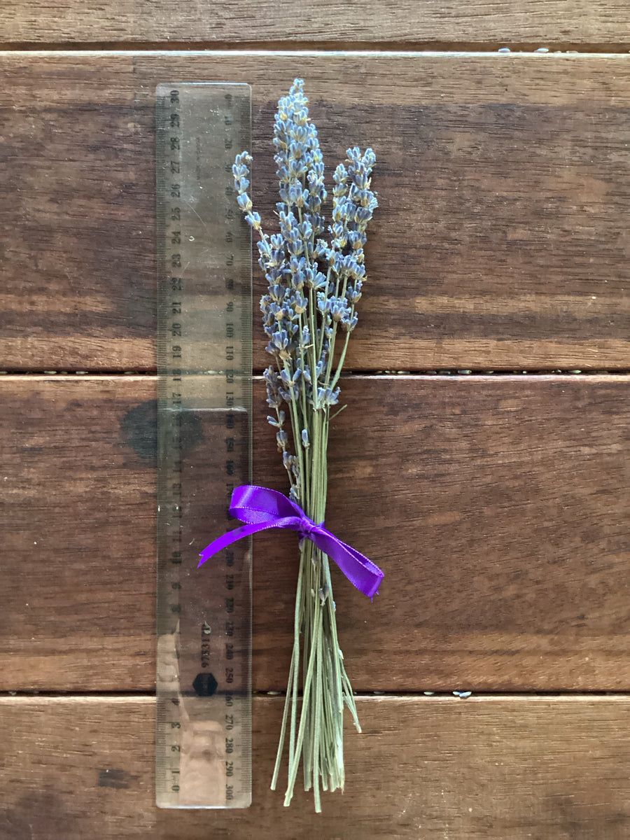 Mini English Lavender Posies Dried | Wedding Favour | Baby Shower | Fu ...