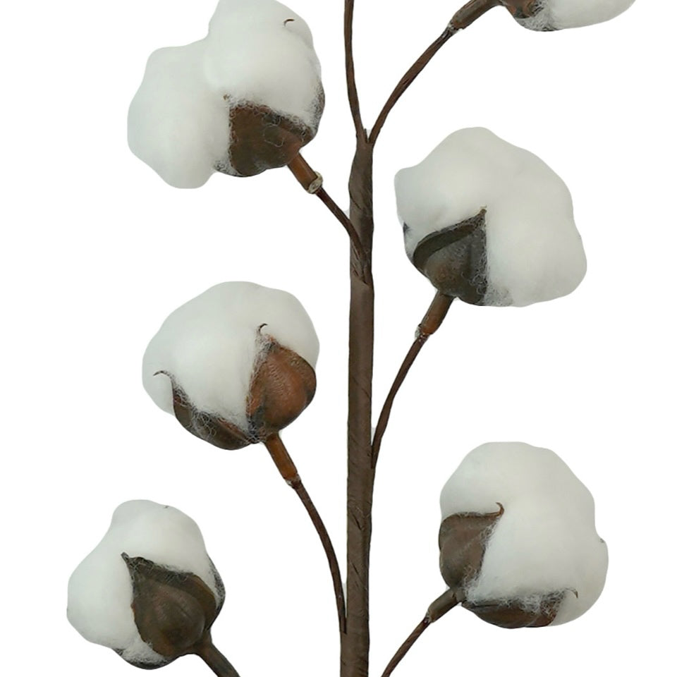 Cotton Spray 70cm NO SHIPPING – Wyoming Lavender Estate